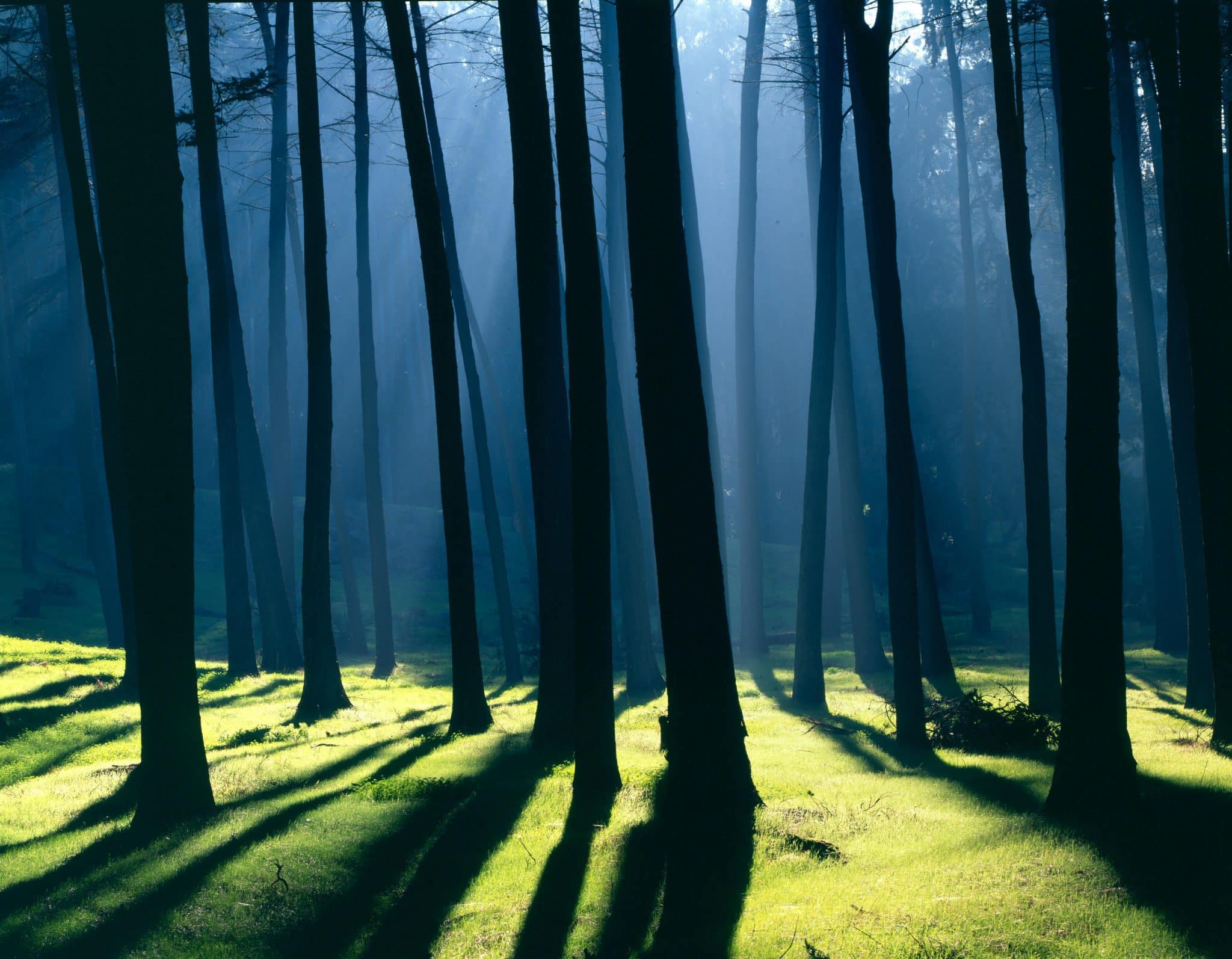 Steamboat photographer retires, leaving a legacy in images ...